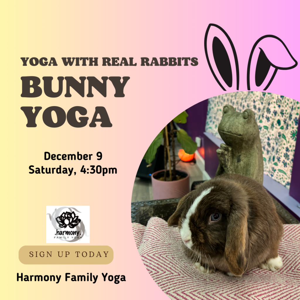 Bunny Yoga - Harmony Family Yoga | Modern Yoga Studio
