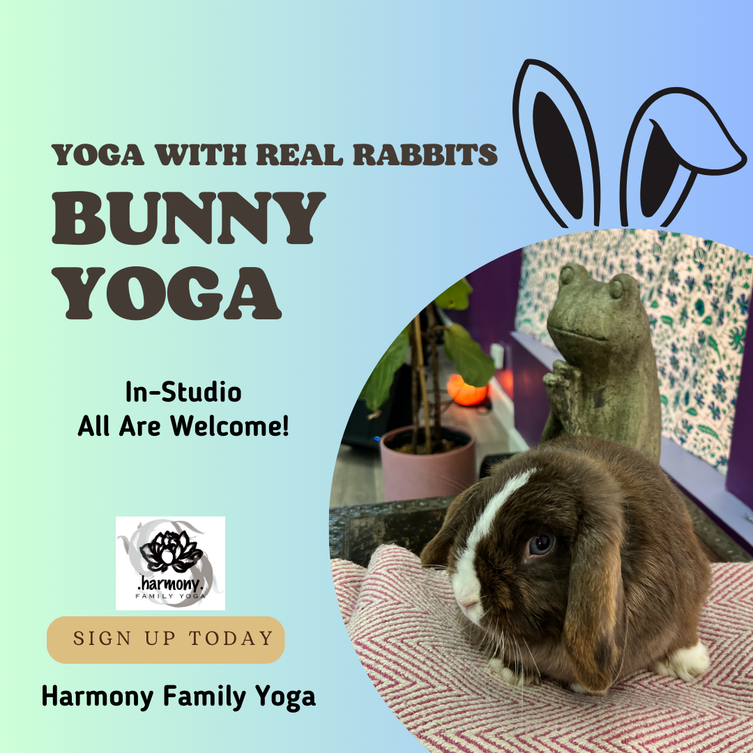 Bunny Yoga - Harmony Family Yoga | Traditional Yoga Studio
