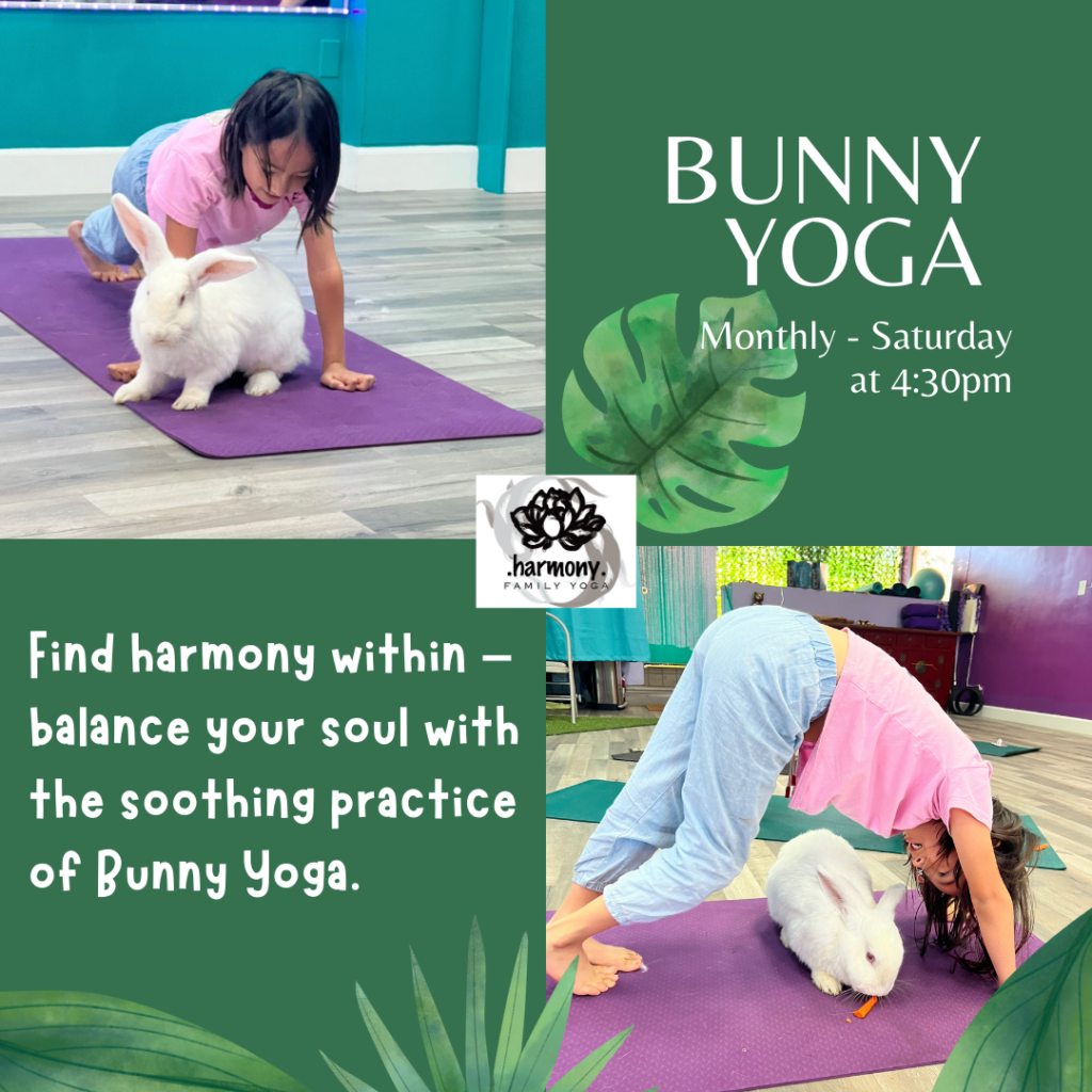 Bunny Yoga - Harmony Family Yoga | Traditional Yoga Studio